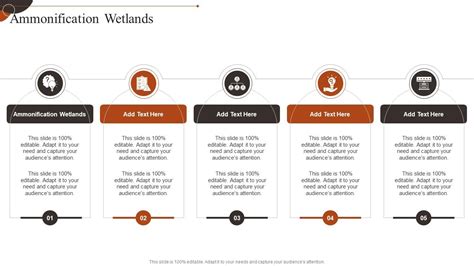 Ammonification Wetlands In Ppt Powerpoint Presentation Slide Templates Cpp PPT Sample
