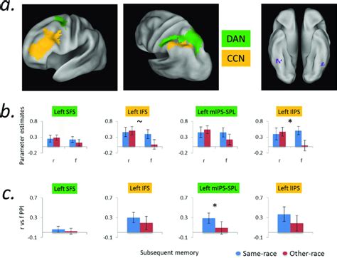 Subsequent Memory Effects As A Function Of The Other Race Effect A Download Scientific