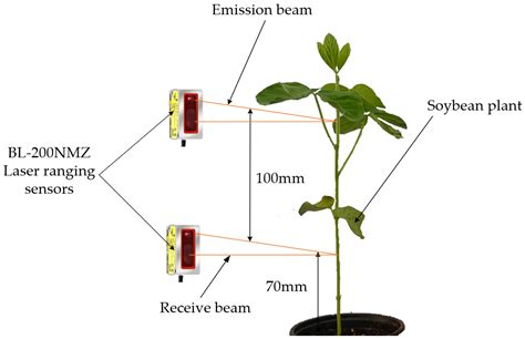 Agronomy Free Full Text Research And Experiment On Soybean Plant Identification Based On