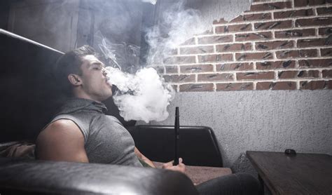 shesha billeder gennemse 108 stockfotos vektorer og videoer adobe