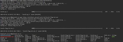Magikarp Ground Mission Picoctf Solution By Khadija Medium