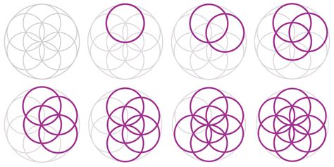 Geometric Circle Design With Compass At Sandra Madrigal Blog