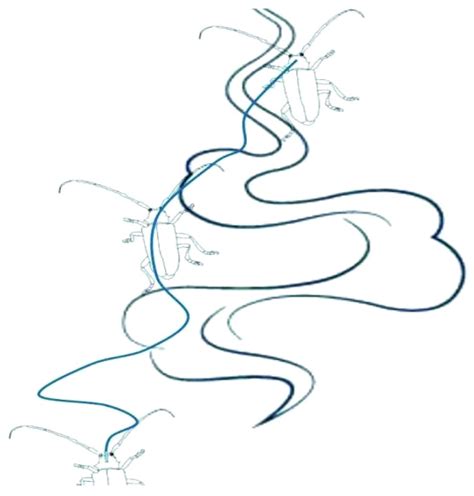 sensors free full text a blind source separation method based on