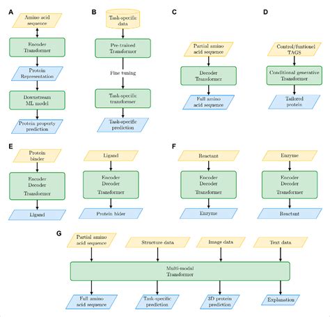Figure 2 From The Promises Of Large Language Models For Protein Design