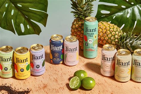 Jiant Hard Kombucha Review 2022 The Best Kombucha The Quality Edit