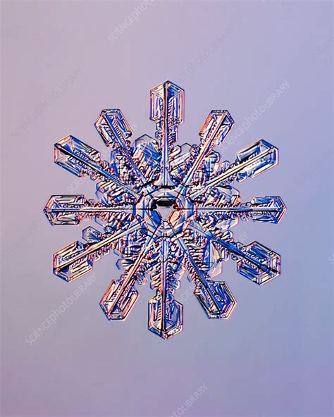 Double Snowflake Stock Image C048 0145 Science Photo Library