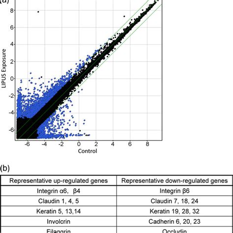 The Results Of Array Comparative Genomic Hybridization Analysis Are Download Scientific