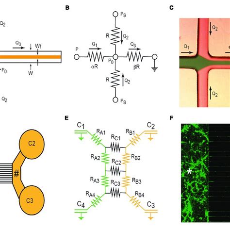 Examples Of Loc Devices And Microfluidic Platforms Microfluidic Download Scientific Diagram