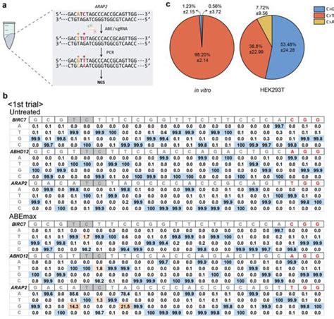In Vitro Abe Activity Assay In Vitro Abe Activity Assay A Measurement Download Scientific