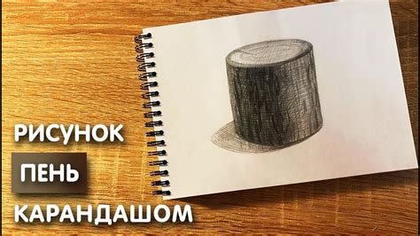 Как нарисовать пень карандашом Рисунок для начинающих поэтапно Youtube