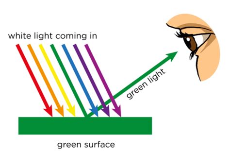 Reflection Of Light Color
