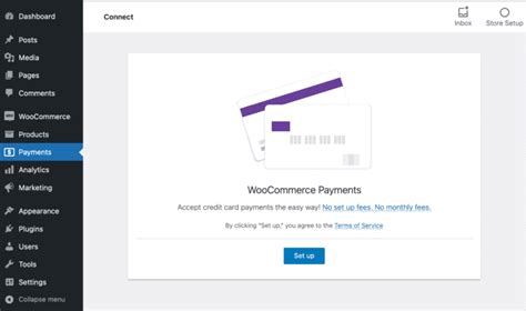 WooCommerce Payments Setup Types Analogy WP Swings