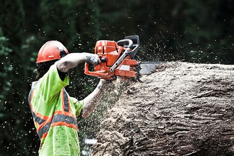 Tree Removal And Service Pontiac MI Call 248 717 1774