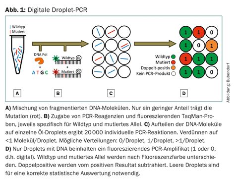 New Dimension Of Predictive Non Invasive Marker Analysis In Tumors