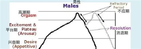 延时基础知识 西趣