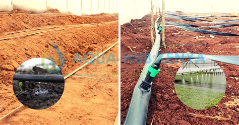 What Is Localized Irrigation System At Benjamin Fujimoto Blog