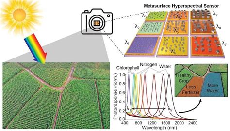 Plasmonic Metasurface Gives High Speed Optical Wifi A Boost