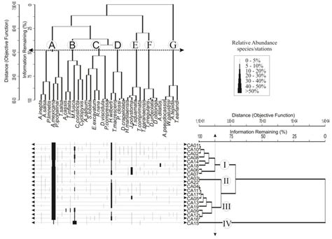 Cluster Analysis In Q Mode And R Mode Based On The Relative Abundance