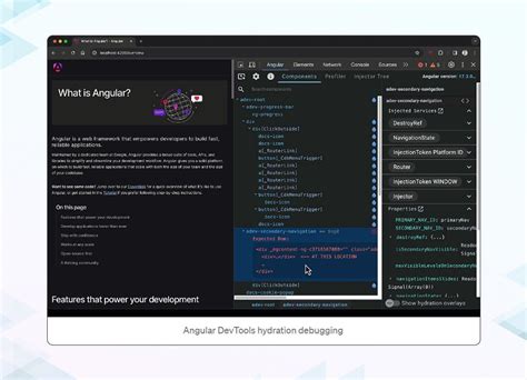 Saeideh Mahboub On Linkedin Angular Angulardevtools Debugging
