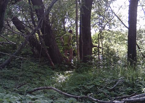 Dropping Logs The Tree Spy