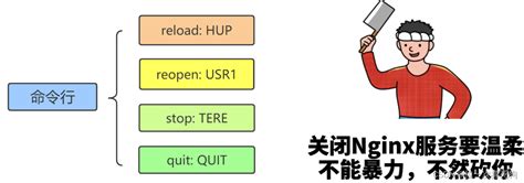 分布式调用与高并发处理 nginx nginx 文件服务器 高并发 配置 csdn博客
