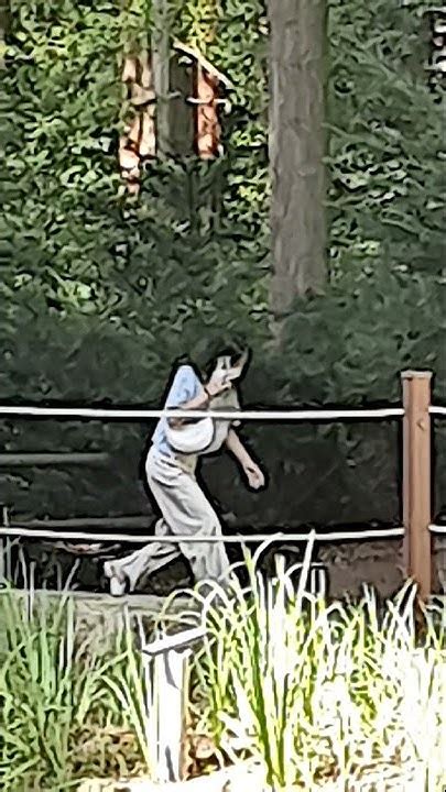 카메라가 부끄러운 여자친구 Youtube