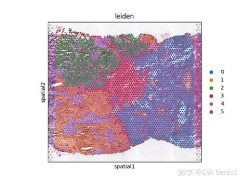 10x空间转录组通讯信号流的运用（commot） 知乎