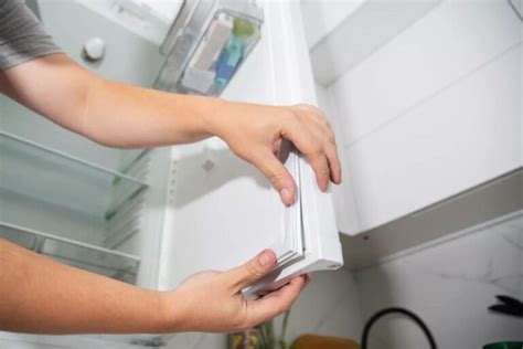 Sexual Dimorphism What Is And Examples Evidence Network