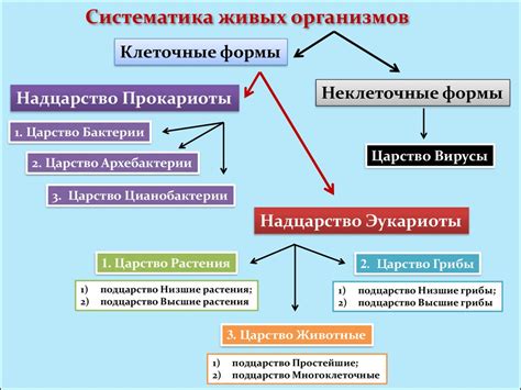 Биология с основами экологии - презентация онлайн