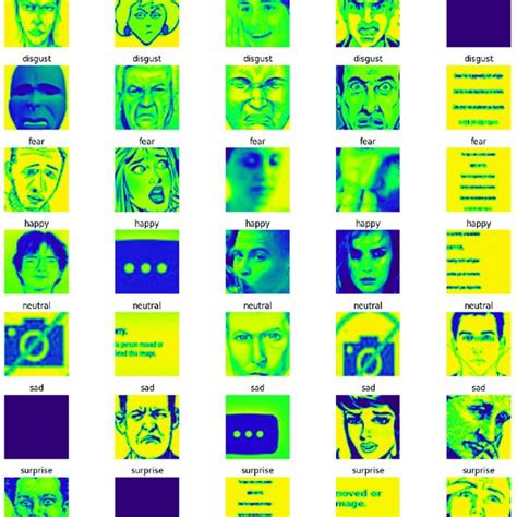 Raf Db Dataset Samples Download Scientific Diagram