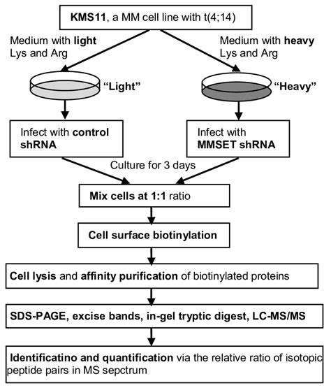 Schematic Showing The Experiment Strategy For The Relative