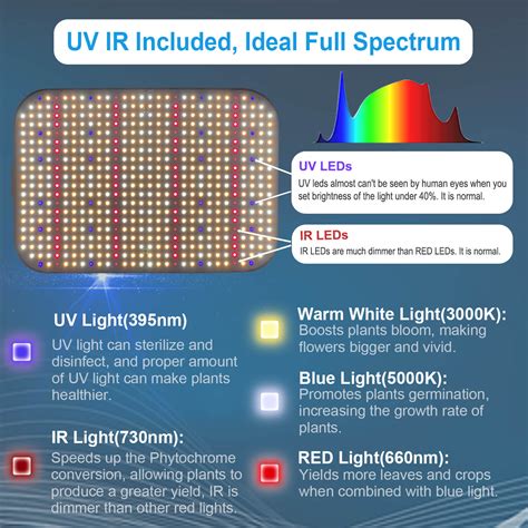 Whats The Difference Between Led Grow Light And Led Light Fecida