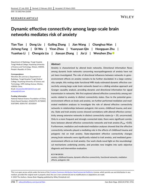 Pdf Dynamic Effective Connectivity Among Large Scale Brain Networks