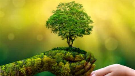 පරිසරය සුරකිමු