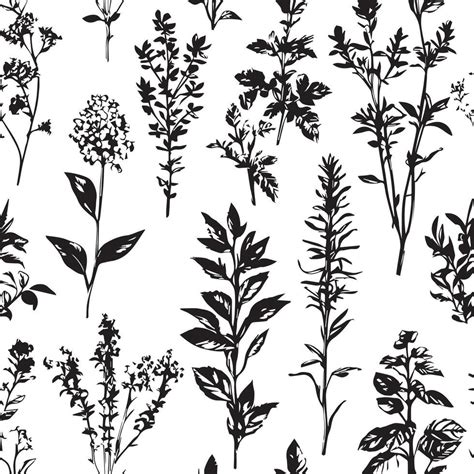 Nature Themed Herbal Background 57358159 Vector Art At Vecteezy