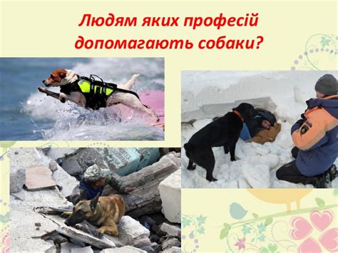 Презентація День захисту тварин