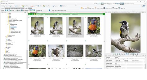 directory opus essential software image science
