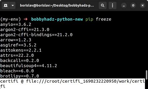 How To Create And Install Conda Requirementstxt Bobbyhadz