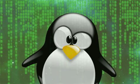 New Linux Bug Gives Root On All Major Distros Exploit Released Seraphim DT