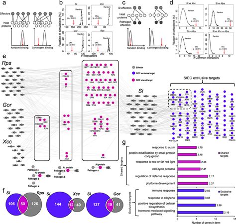 Comparative Interactomics 12kspace A Network Rewiring Between Download Scientific Diagram