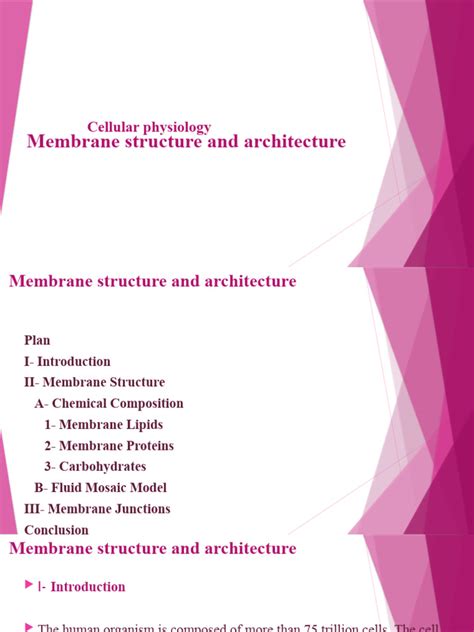 1 Membrane Structure And Architecture Download Free Pdf Endoplasmic