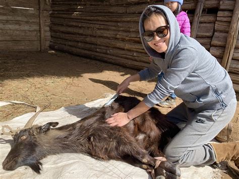 Хөдөөний хүүхэн On Twitter Ямаа самнаж үзлээ 🐐 Хаг нь босоод аймшигтай харагдах аж Сайхан