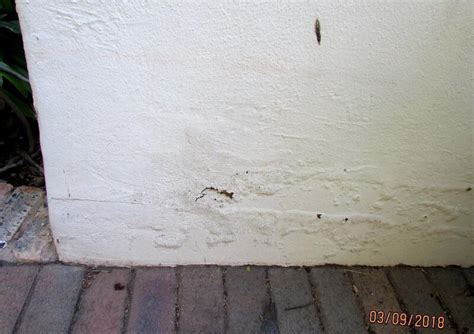Blistering Paint Causes Solutions And Prevention Tips The Home
