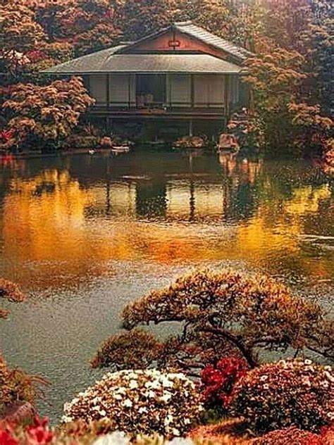 طبیعت زیبا ، عکس ویسگون