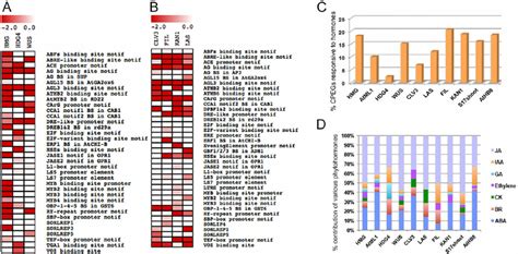 Identification Of Cis Element And Hormone Responsive Transcripts In Sam Download Scientific