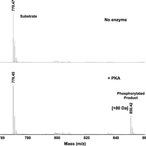 Maldi Tof Ms Profiles For The Enzyme Reaction For Camp Dependent