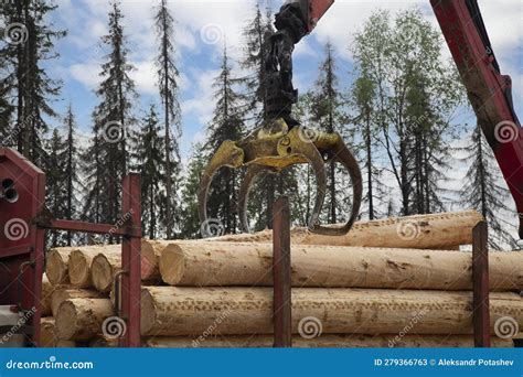 Loading Logs With A Special Loader Timber Products Warehouse On A Specialized Site Royalty Free