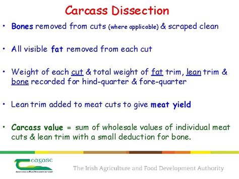 Predicting Beef Carcass Meat Fat Bone Proportions From