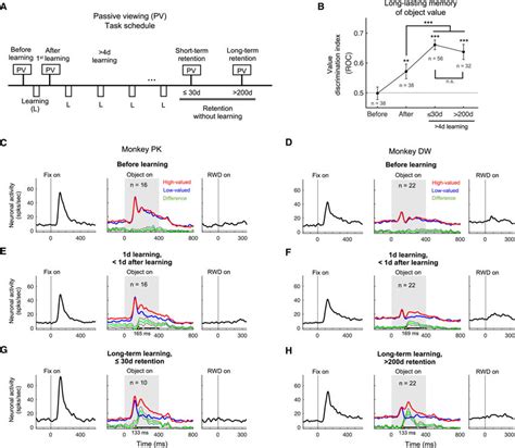 Value Memory Representation Of Neurons In The P Thalamus Many Days