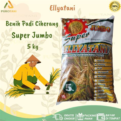 Jual Benih Padi Ciherang Jumbo Ss Kg Ellyatani